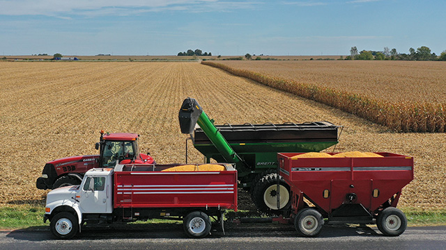 ARC/PLC and Final Risk Management Thoughts - farmdoc