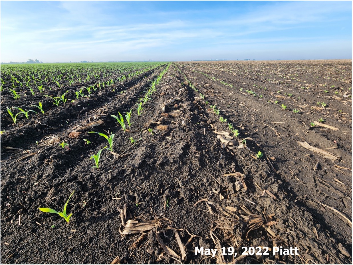 Illinois Crops Update 5/20/2022 - farmdoc