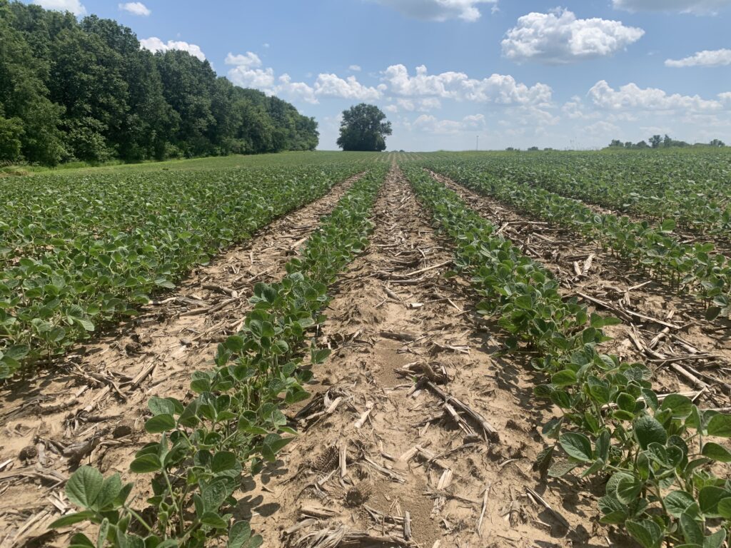 Illinois Crops Update 7/1/2022 - farmdoc