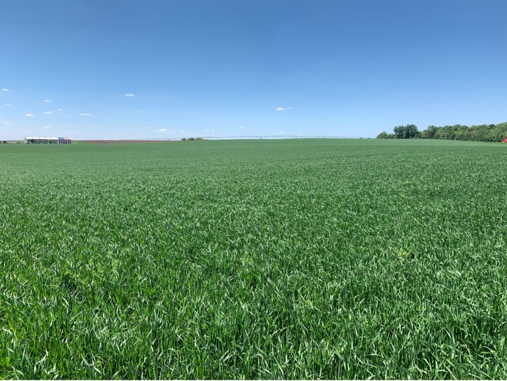 Illinois Crops Update 6/3/2022 - farmdoc