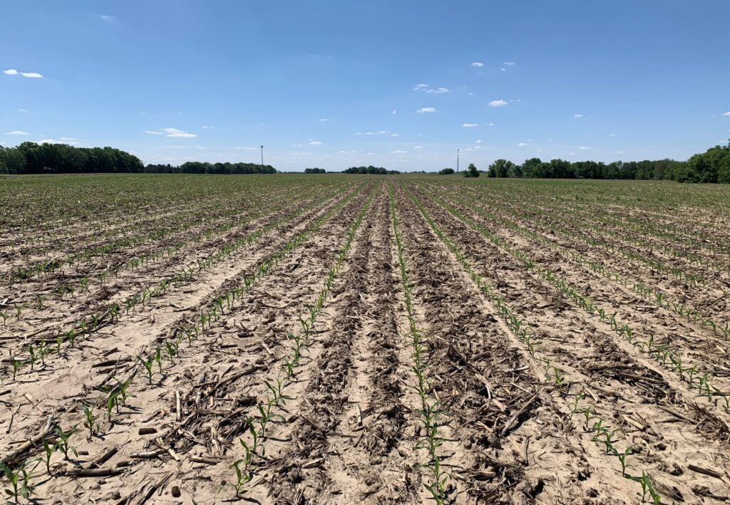 Illinois Crops Update 6/3/2022 - farmdoc
