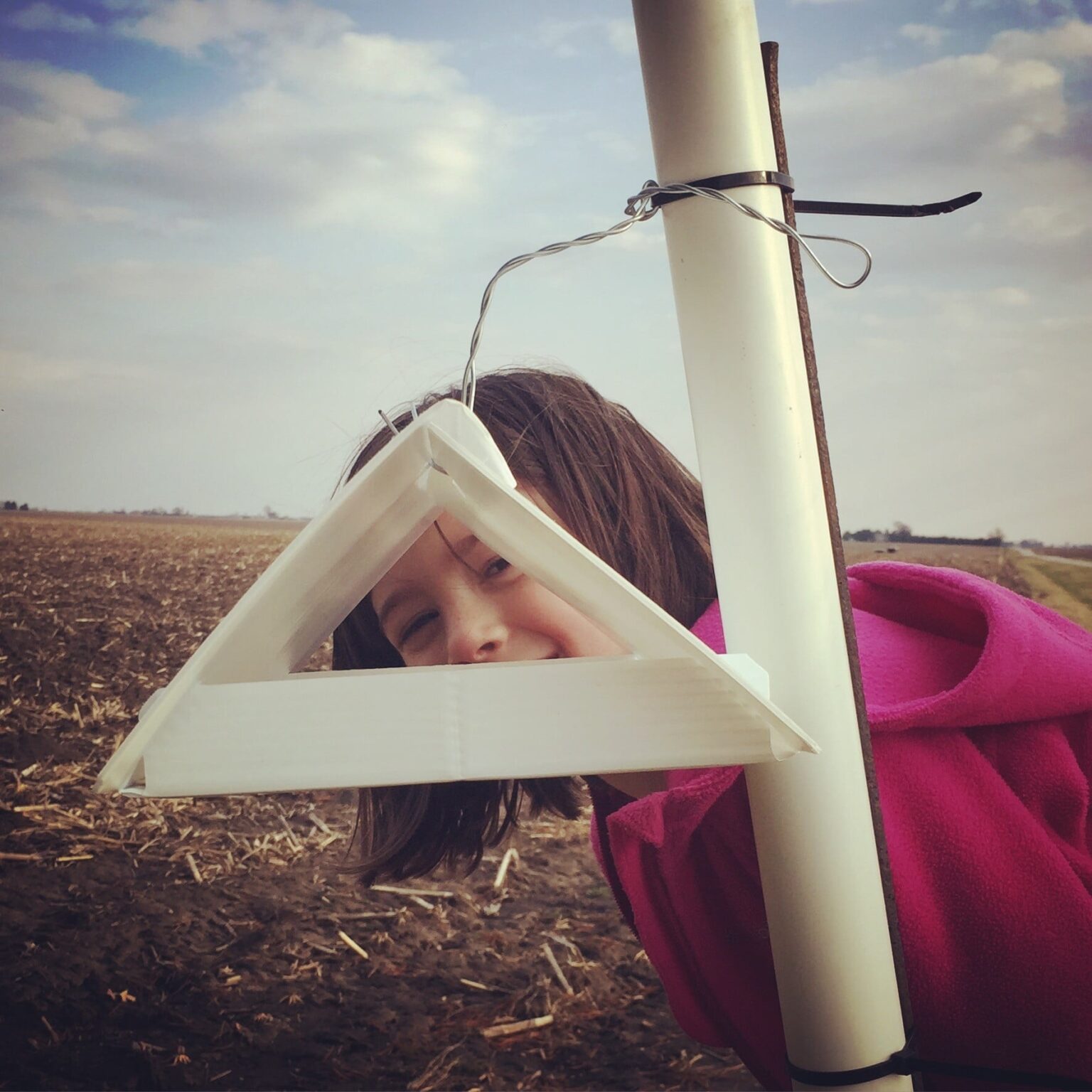 Cooperators Still Needed for Spring Insect Trapping - farmdoc