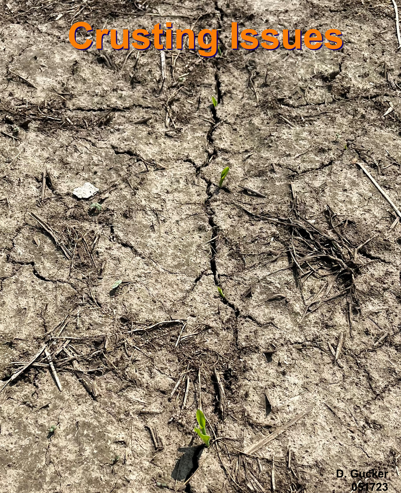Illinois Crop Update - May 19, 2023 - farmdoc
