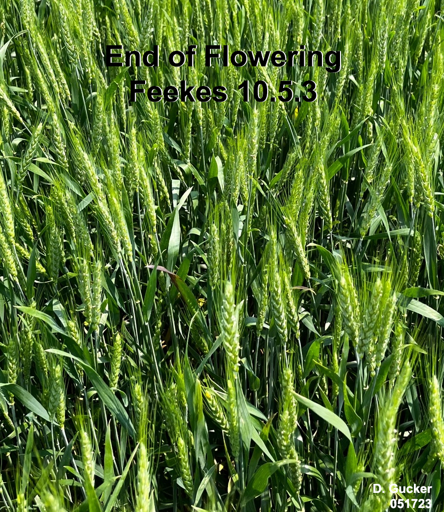 Illinois Crop Update - May 19, 2023 - farmdoc