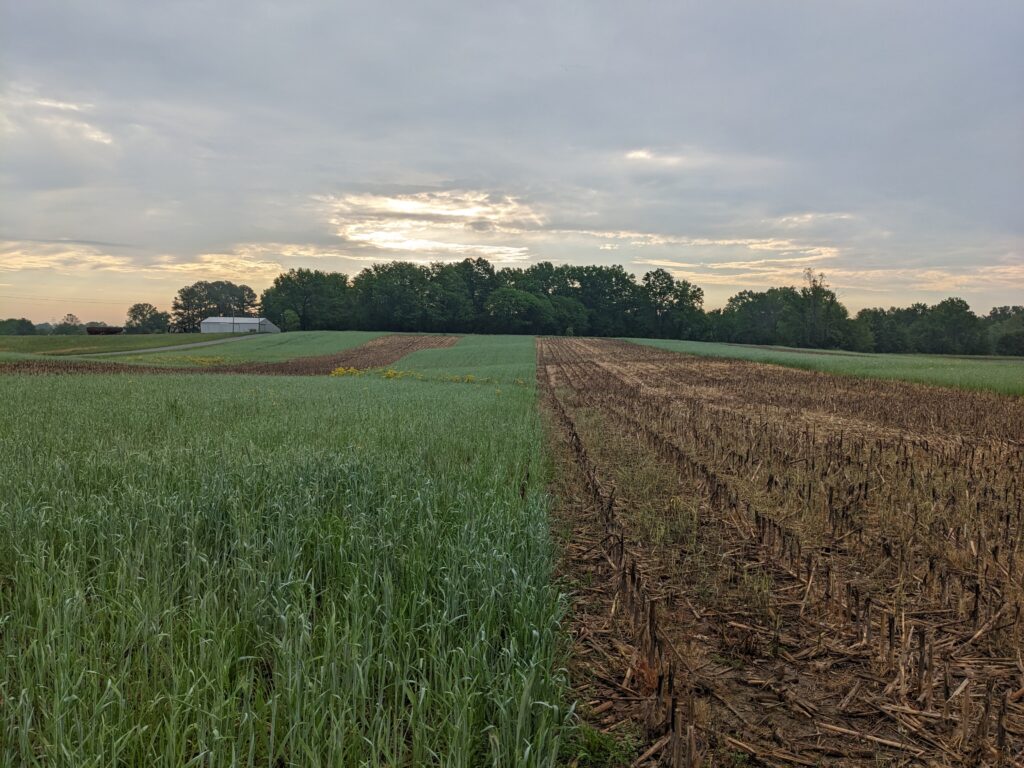 Illinois Crop Update - May 12, 2023 - farmdoc