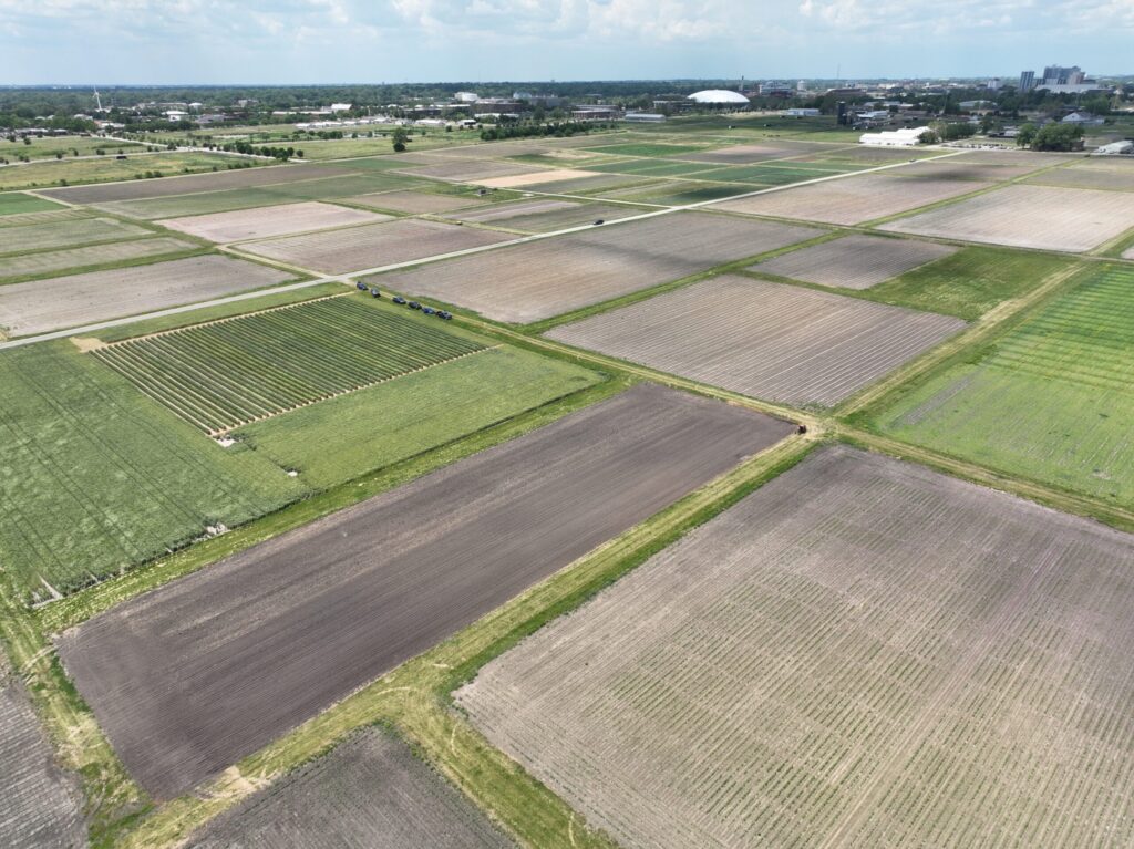 Illinois Crop Update - June 2, 2023 - farmdoc