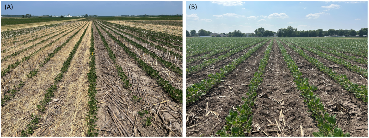 Dry Weather and Crop Conditions in Illinois - farmdoc
