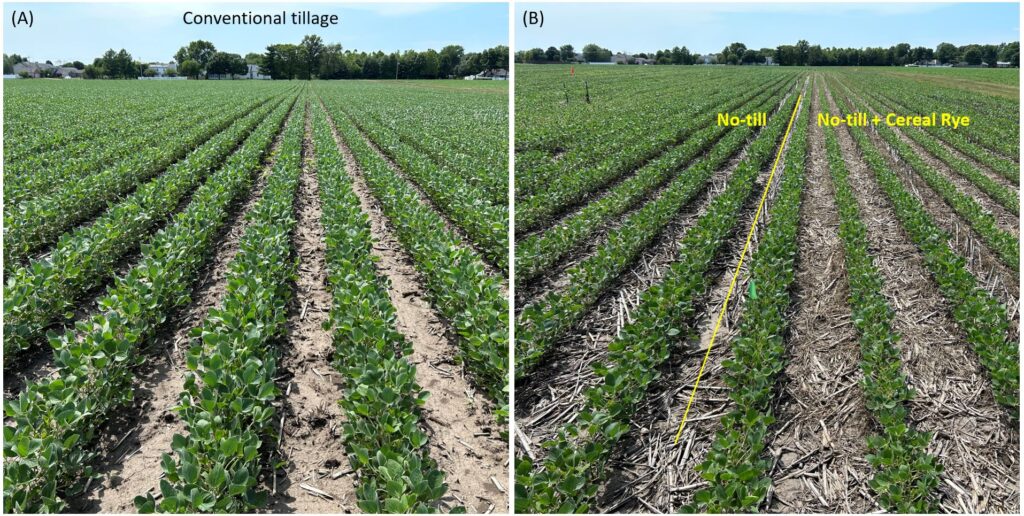 Rainfall may not completely reverse the effects of drought - farmdoc
