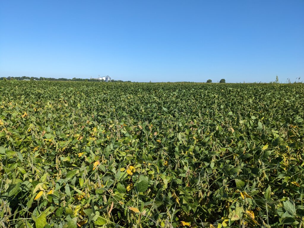 Illinois Crop Update - September 1, 2023 - farmdoc