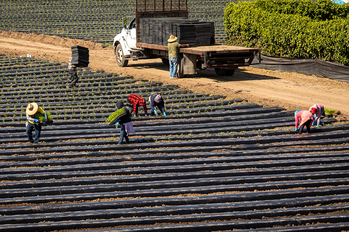 Farmworker Safety and Health - farmdoc