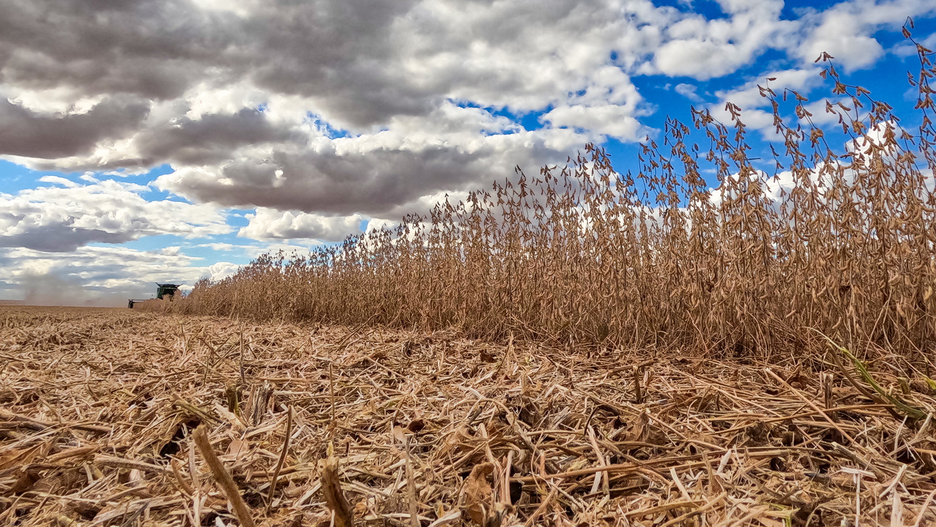 Crop Risk Management for 2024, Part 2 - farmdoc
