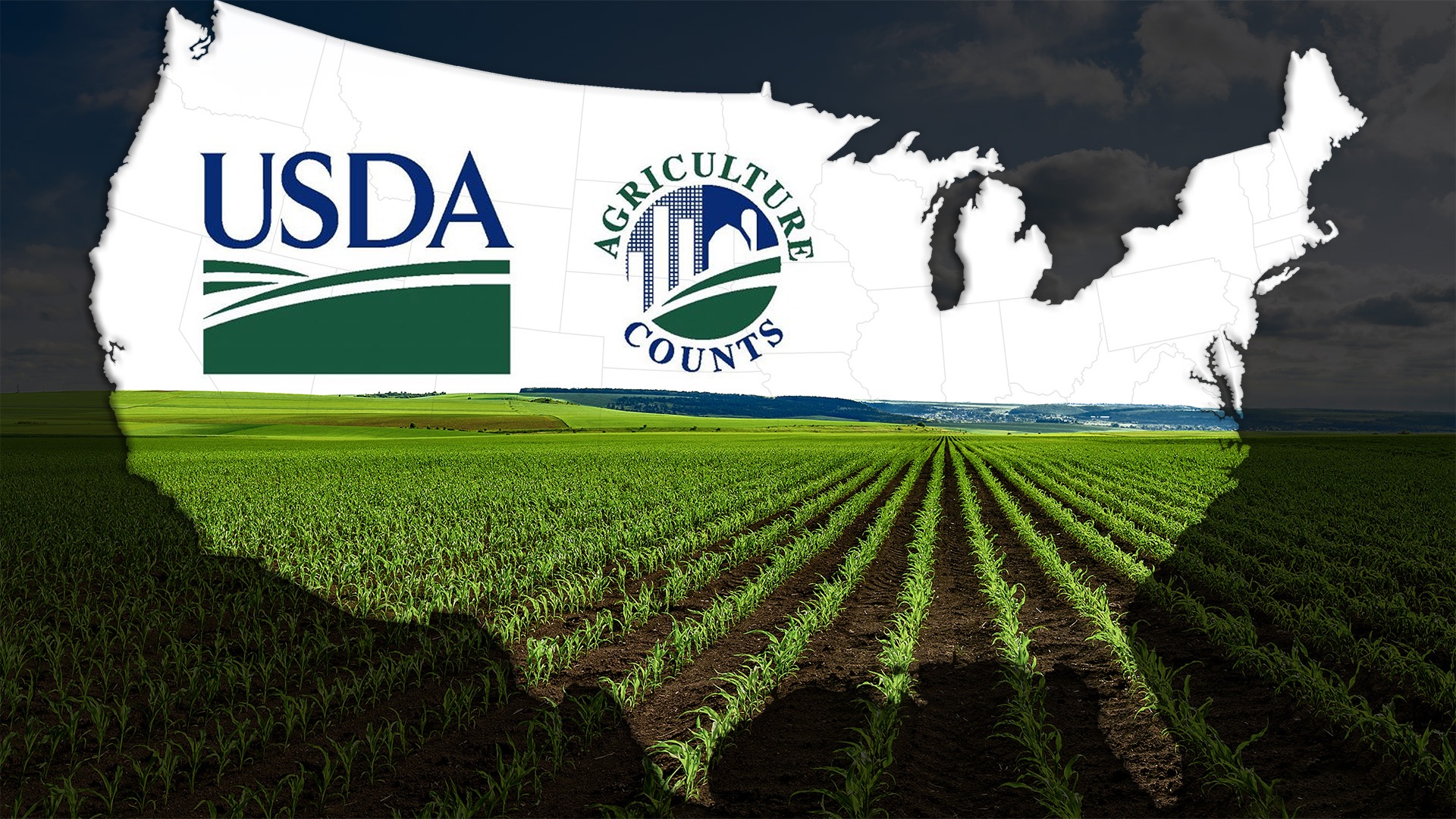 The Changing Face of American Agriculture: Insights from the 2022 USDA ...