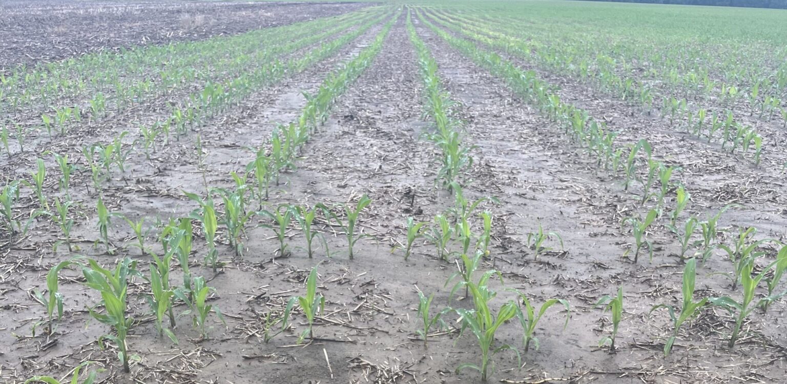 Illinois Crop Update - May 10, 2024 - farmdoc