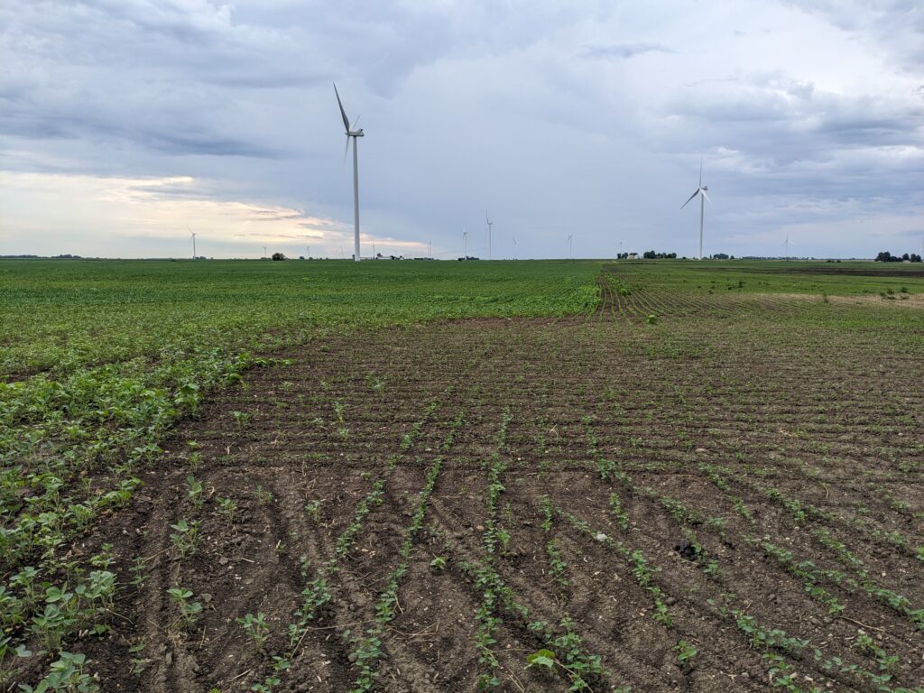 Illinois Crop Update - June 28, 2024 - farmdoc