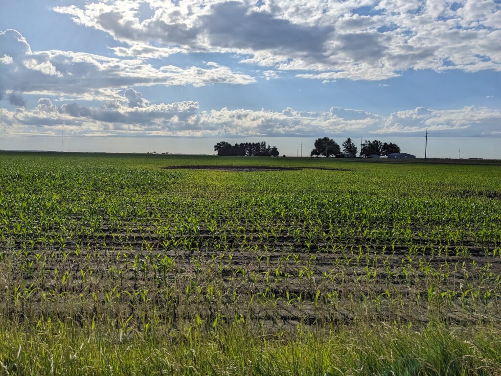 Illinois Crop Update - June 14, 2024 - farmdoc