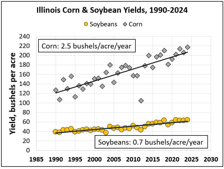 Recapping the 2024 growing season and looking ahead to 2025 - farmdoc