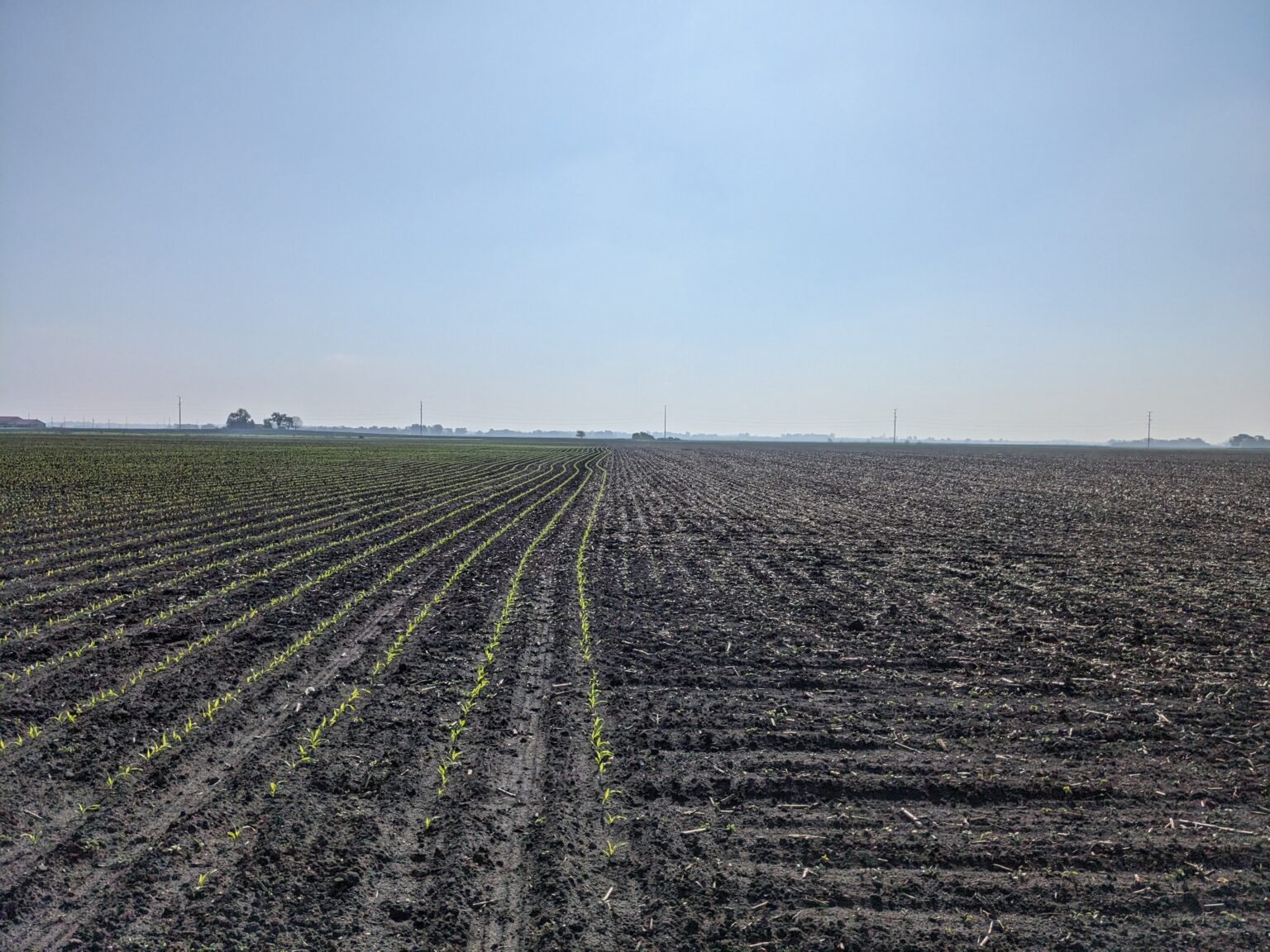 Illinois Crop Update – May 9, 2025 - farmdoc