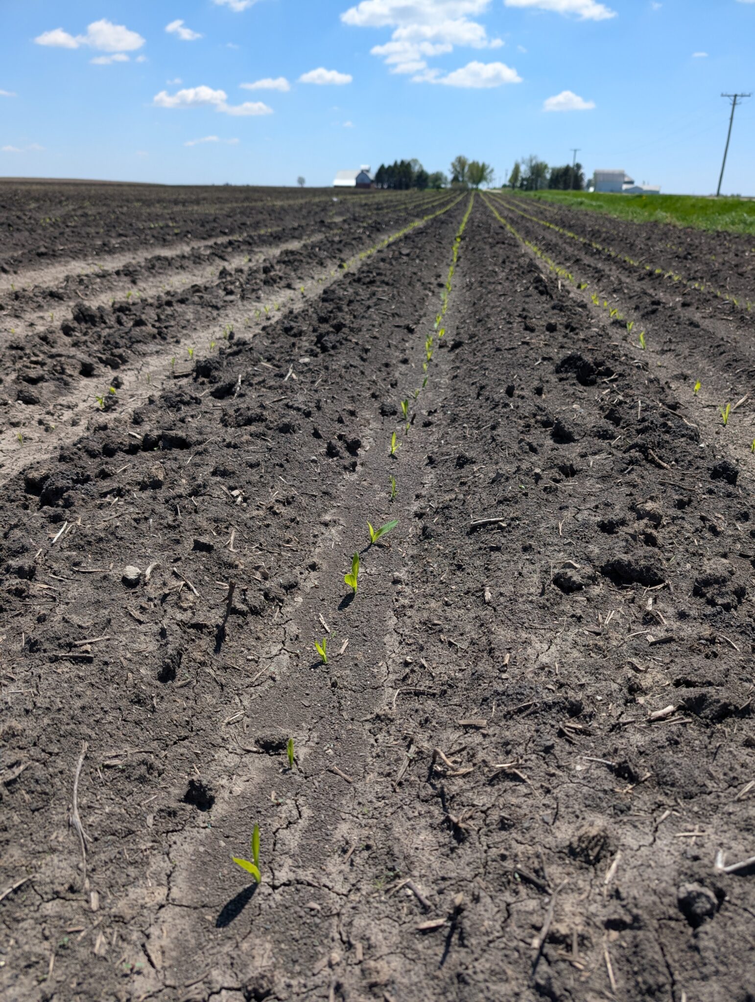 Illinois Crop Update – May 9, 2025 - farmdoc