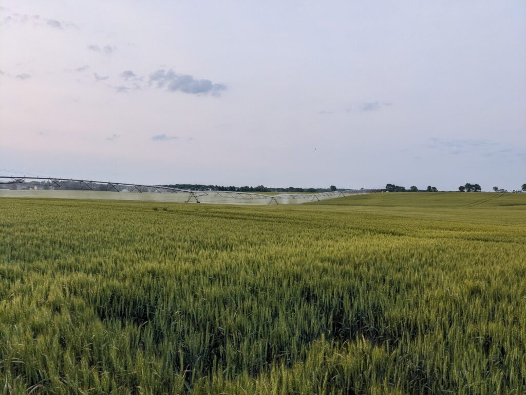 Illinois Crop Update - June 6, 2025 - farmdoc