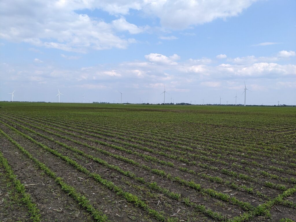 Illinois Crop Update - June 13, 2025 - farmdoc