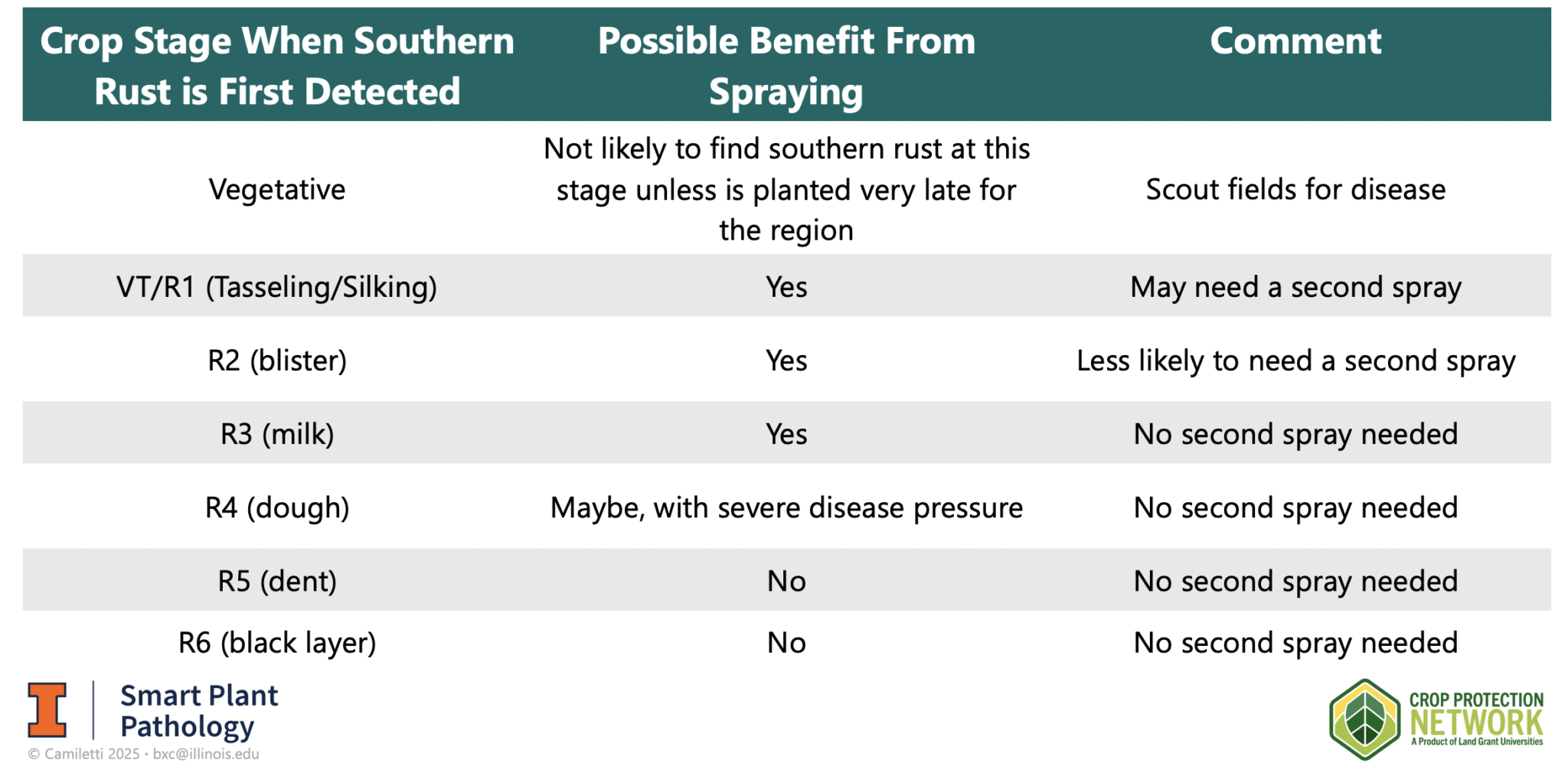 Southern Rust Now Confirmed in Illinois: Scouting and Management ...