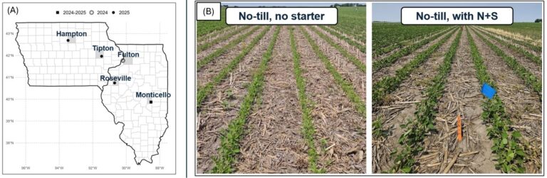Evaluating soybean performance in conservation systems - project report ...